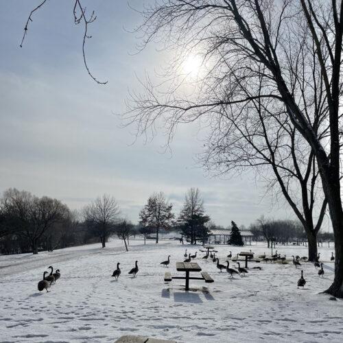 Centennial Park In Tinley Park — Tinley Park Mom Blog